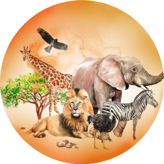 Safari 2 fi20cm hostija - Dora trgovina shop
